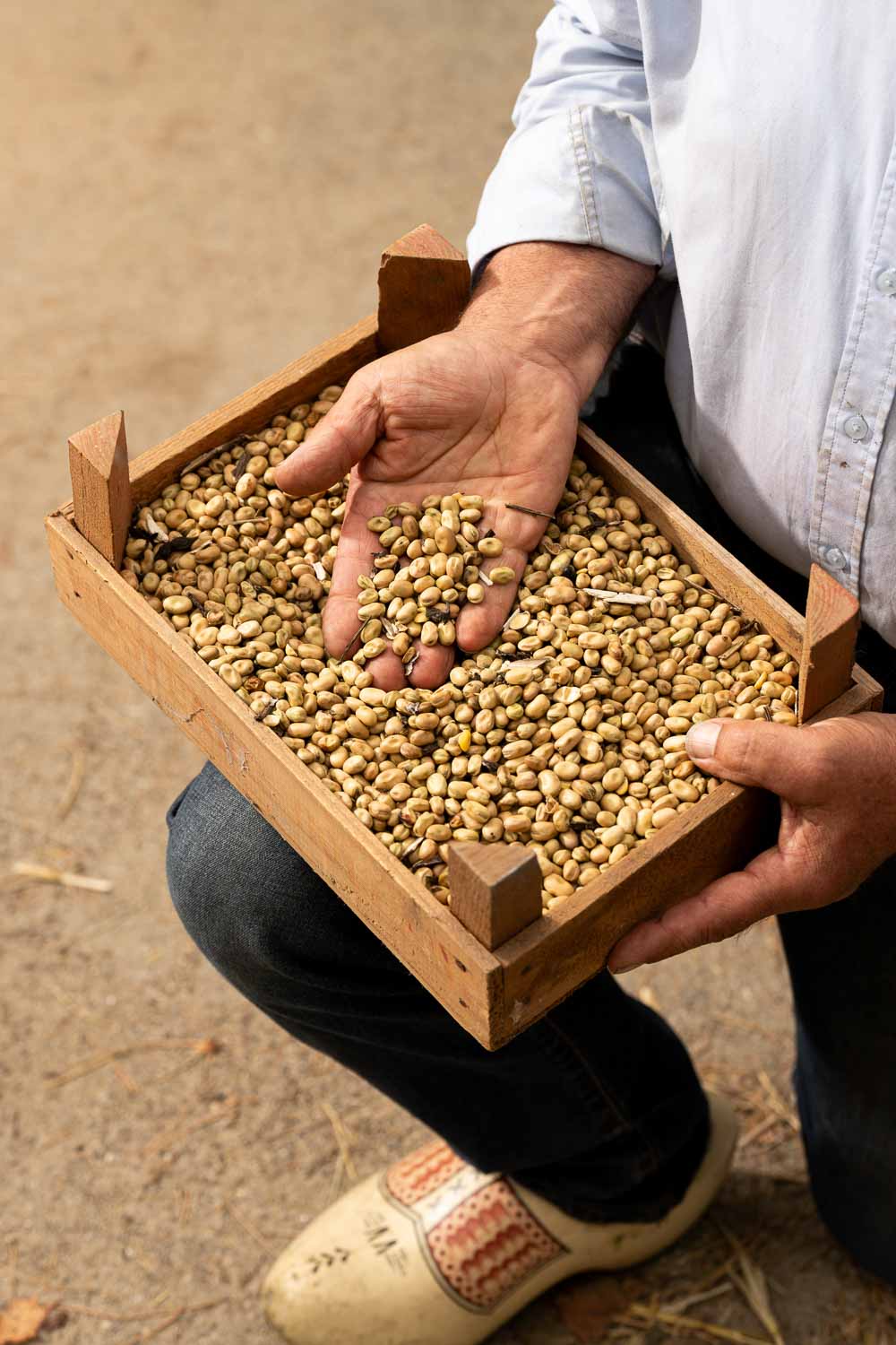 BEANMEAL - Eatertainment - Eatertainment